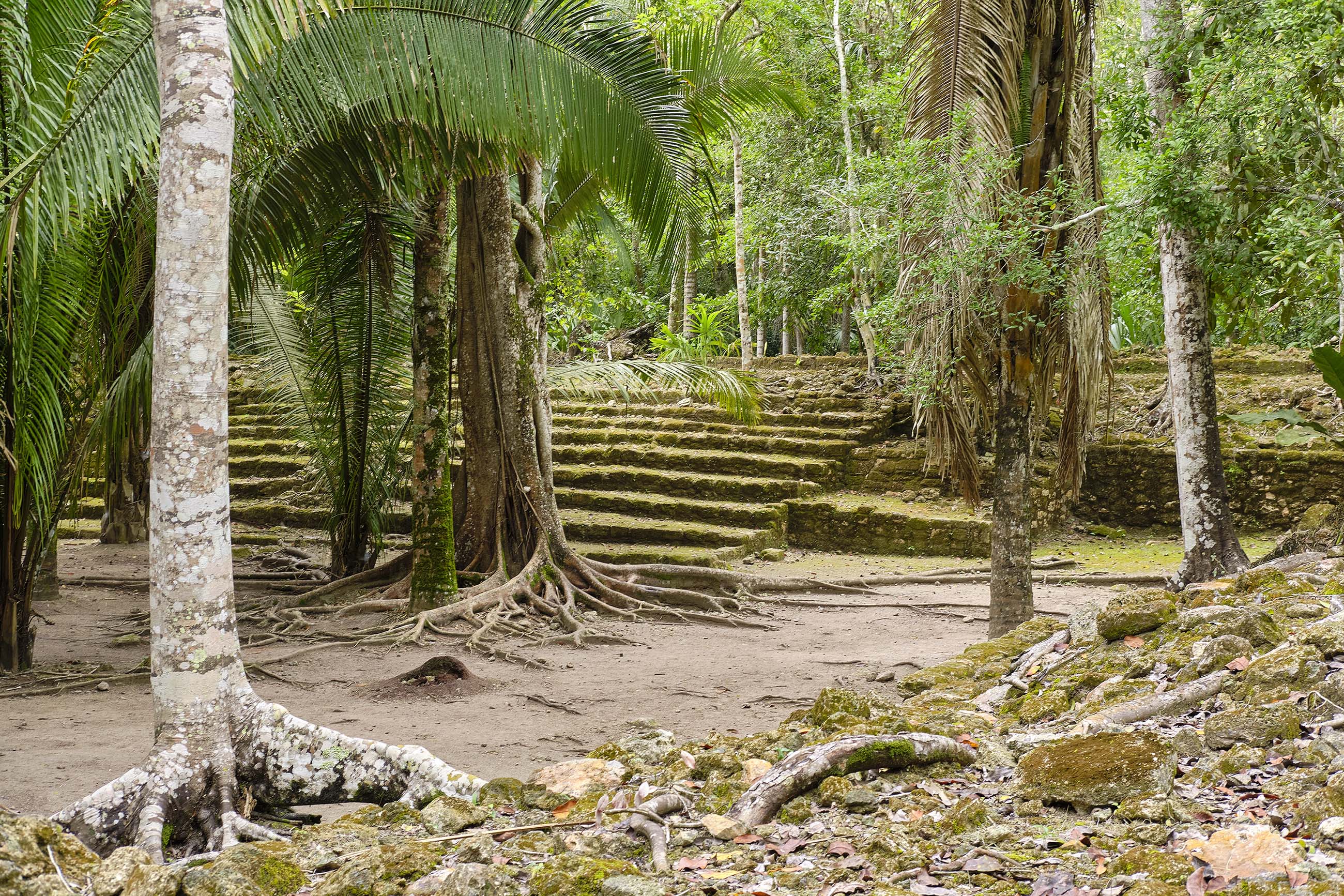Mayan Experience Tour Costa Maya's authentic cultural experience