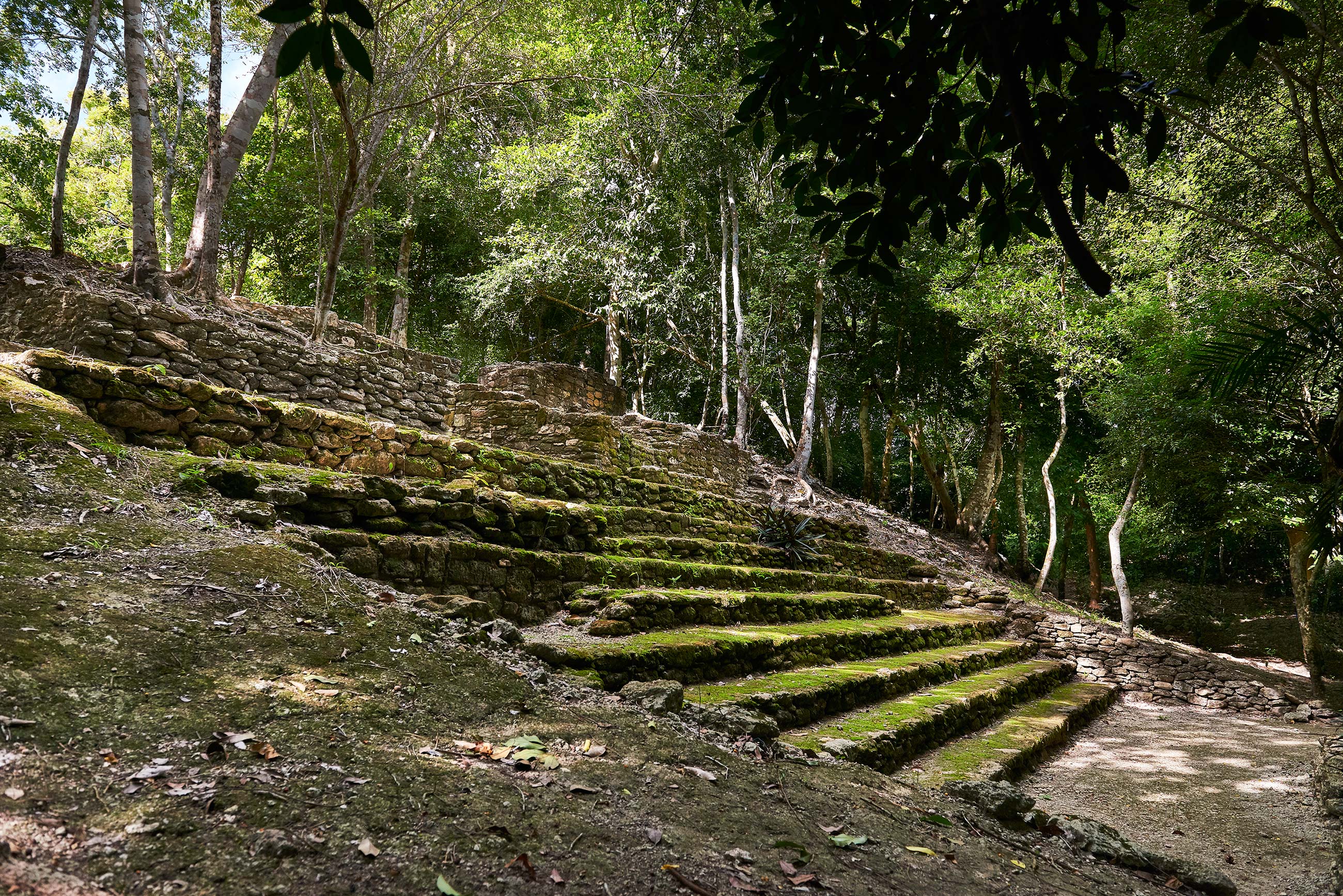 Dzibanche Ruins Premier Tour | Explore Costa Maya' best kept secret