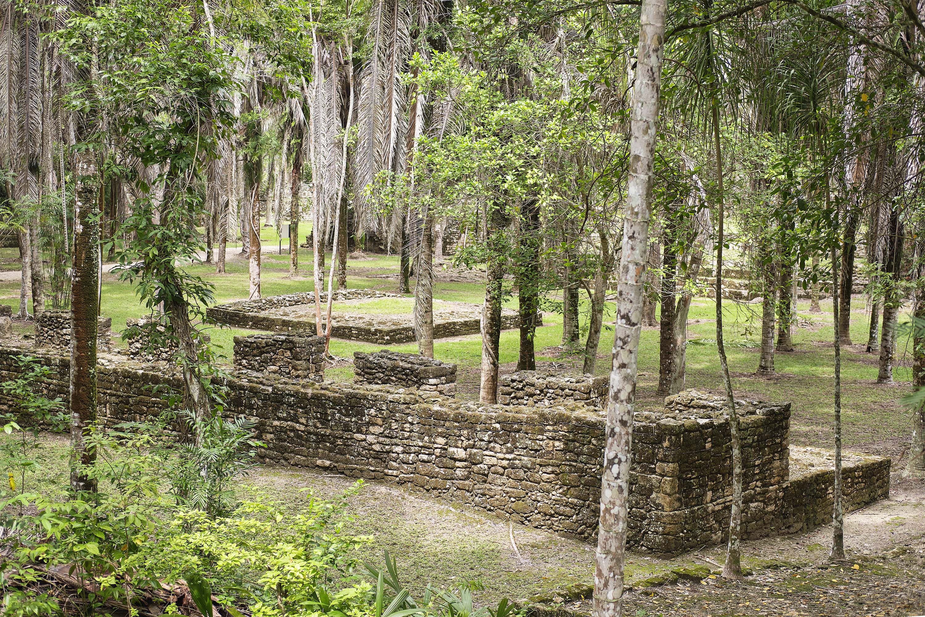 Kohunlich Ruins Premier Tour, an exclusive, small-group adventure